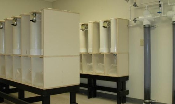 ACZ Laboratories - Accredited Environmental Testing since 1980